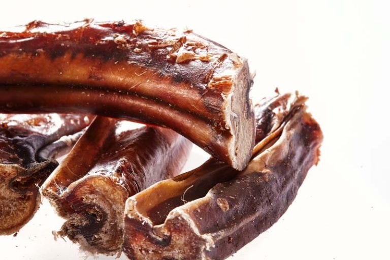 Beef Pizzle Thick Dog Treats - Long Lasting Chew for your dog!