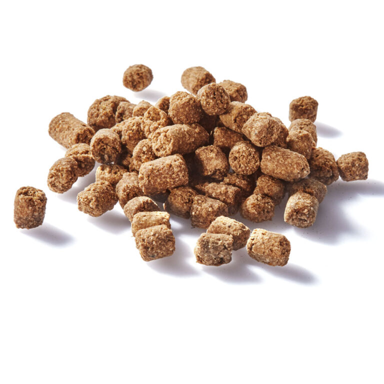 Training Dog treats - Clear Dog Treats
